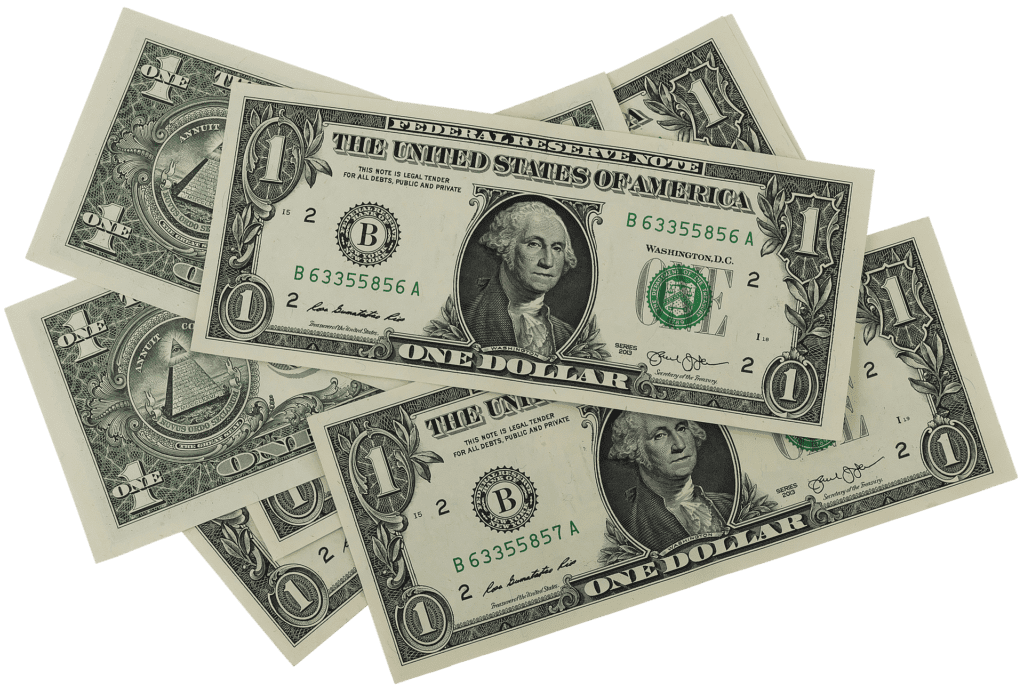 Dolarização: entenda como funciona essa política monetária